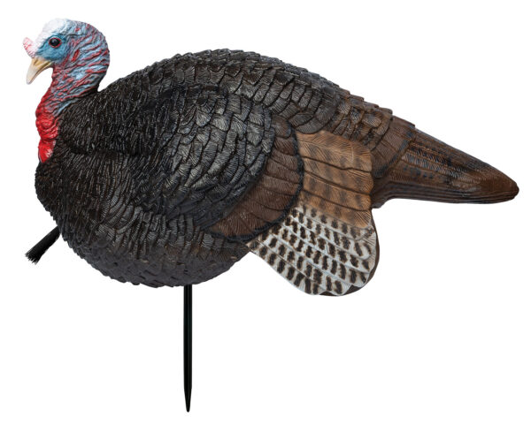 Primos 69074 Lil' Gobstopper Jake Turkey Species Multi Color - C.O.P.S ...